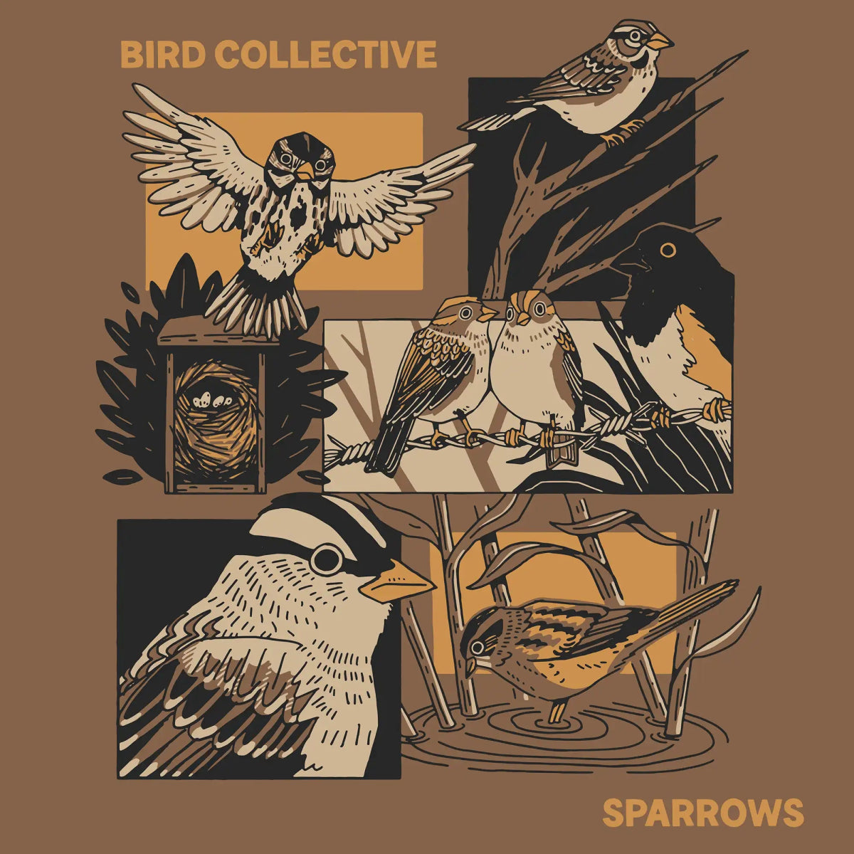 Sparrow Collection | Bird Collective