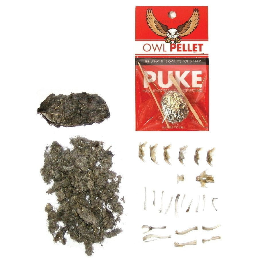 Owl Pellet Kit | Educational Bird Science | Bird Collective