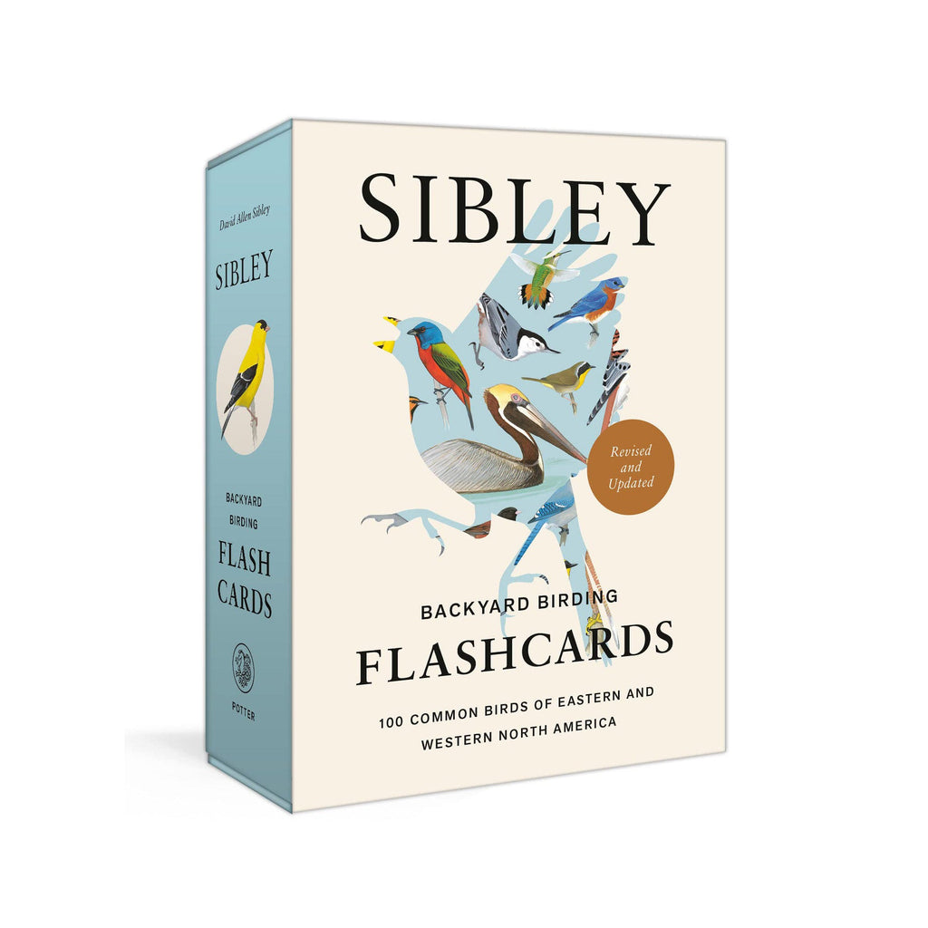 Sibley Backyard Birding Flashcards, Revised and Updated – Bird Collective