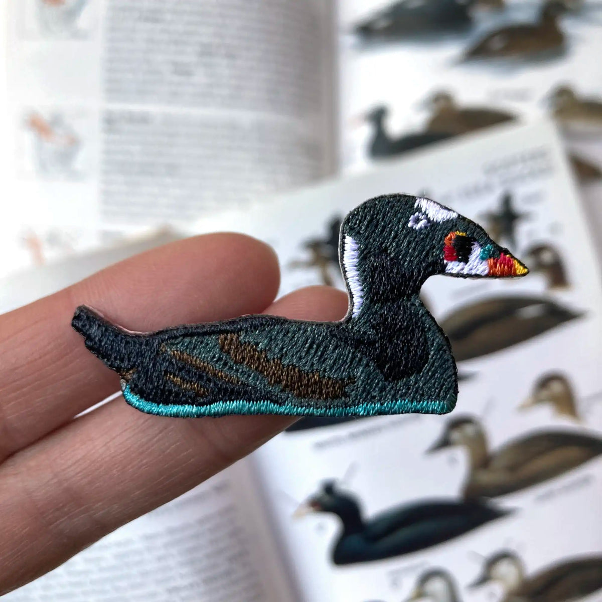Surf Scoter Patch | Bird Collective