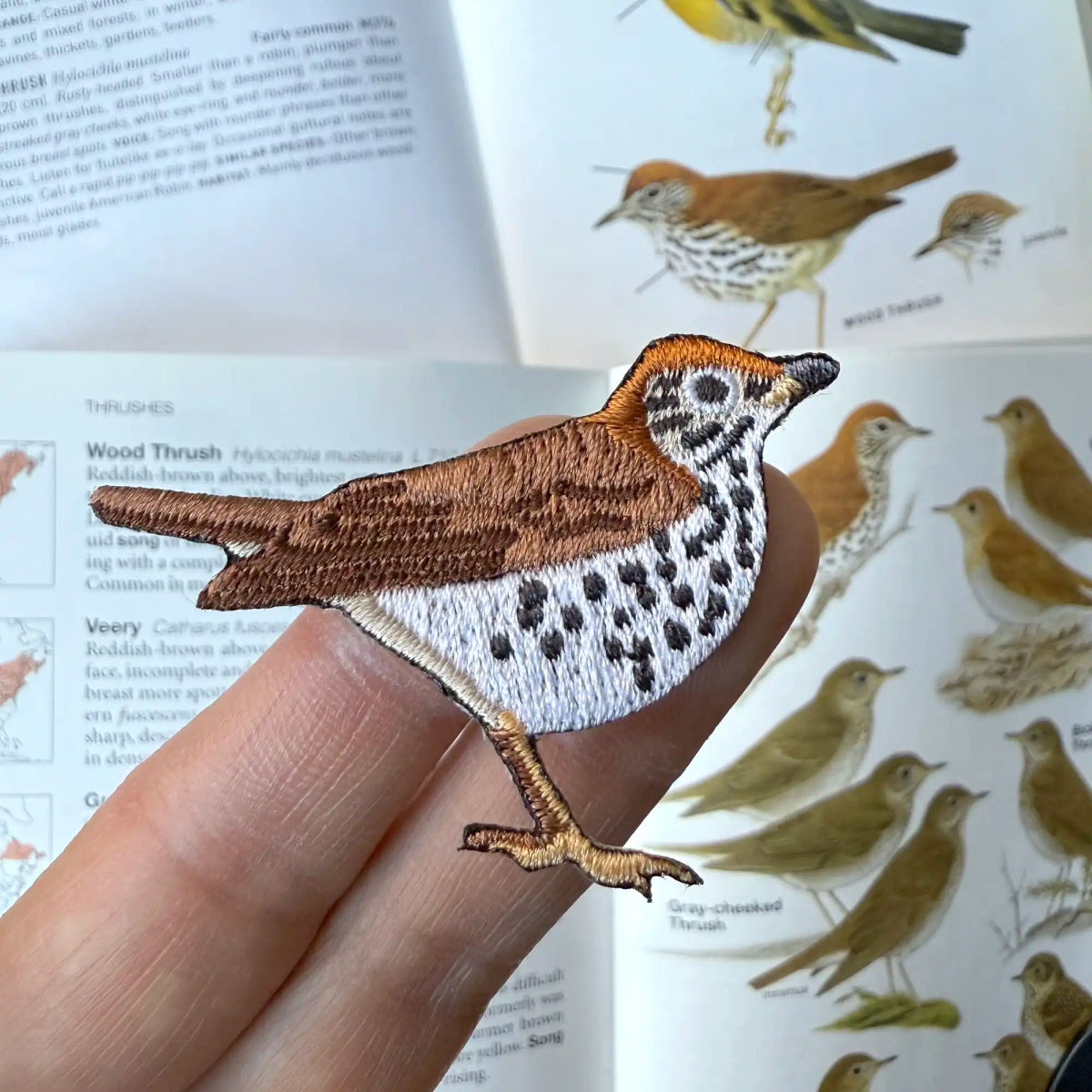 Wood Thrush Patch | Bird Collective