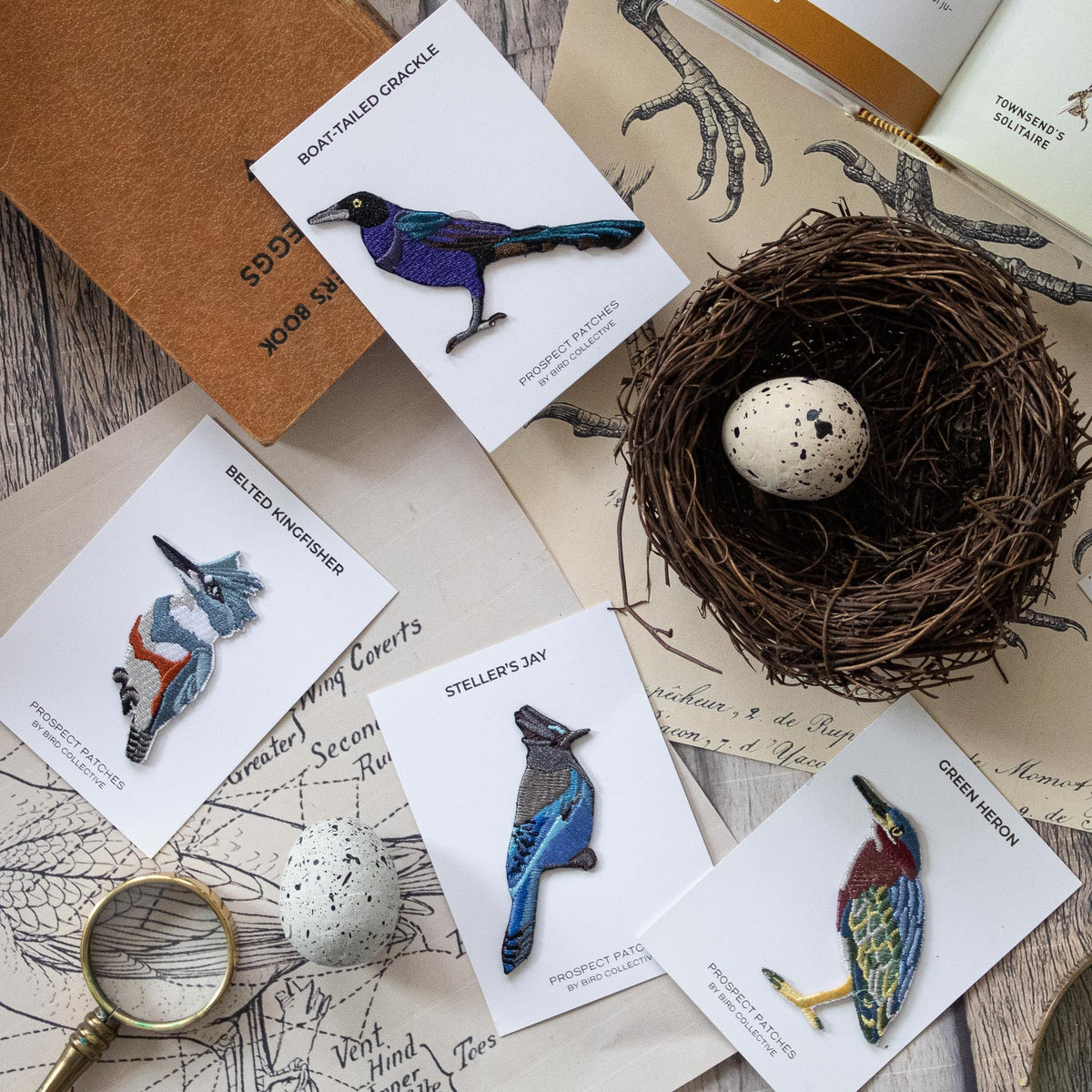 Bird Patches & Bird Appliques | Bird Collective