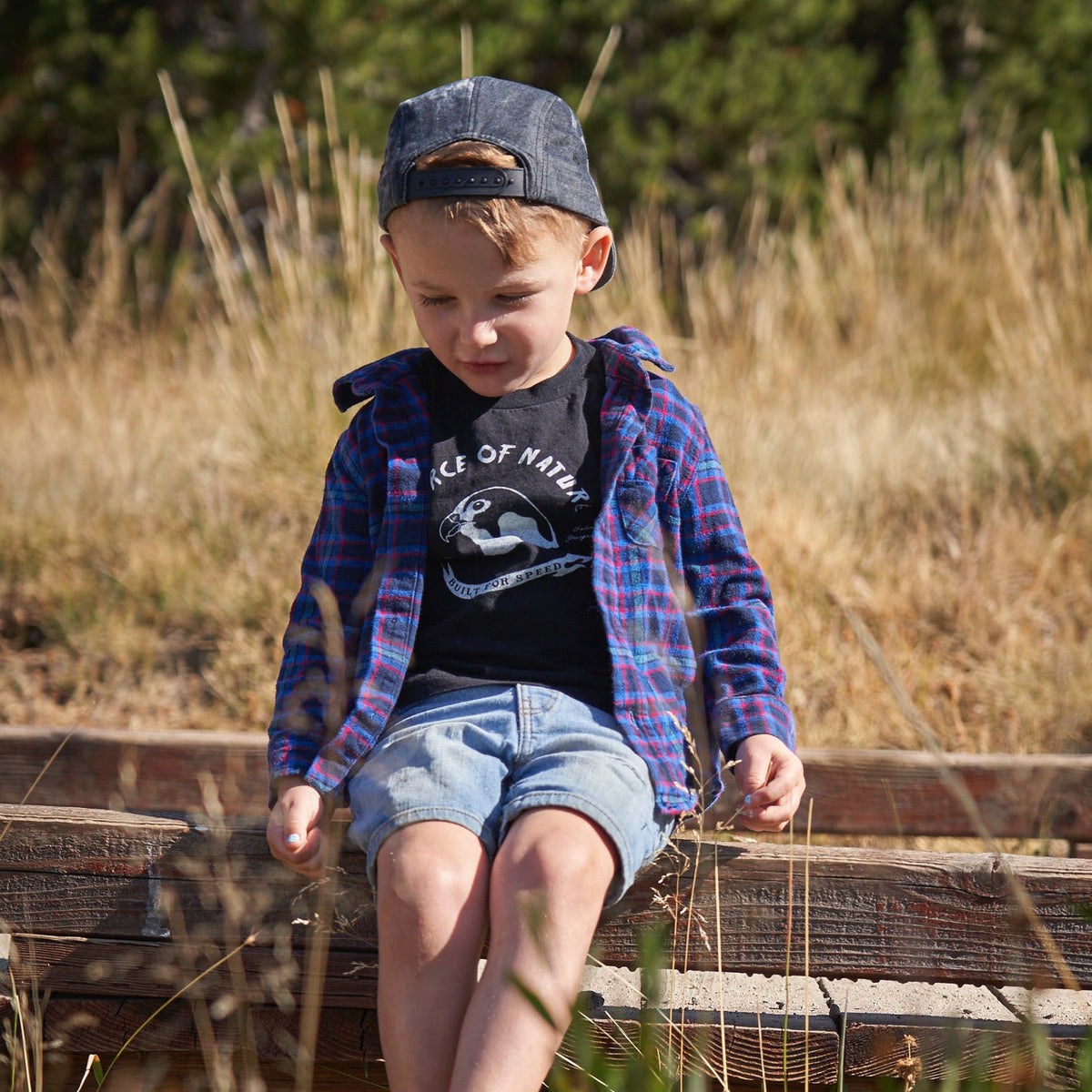 Bird Tees, Toys and Games for Kids | Bird Collective