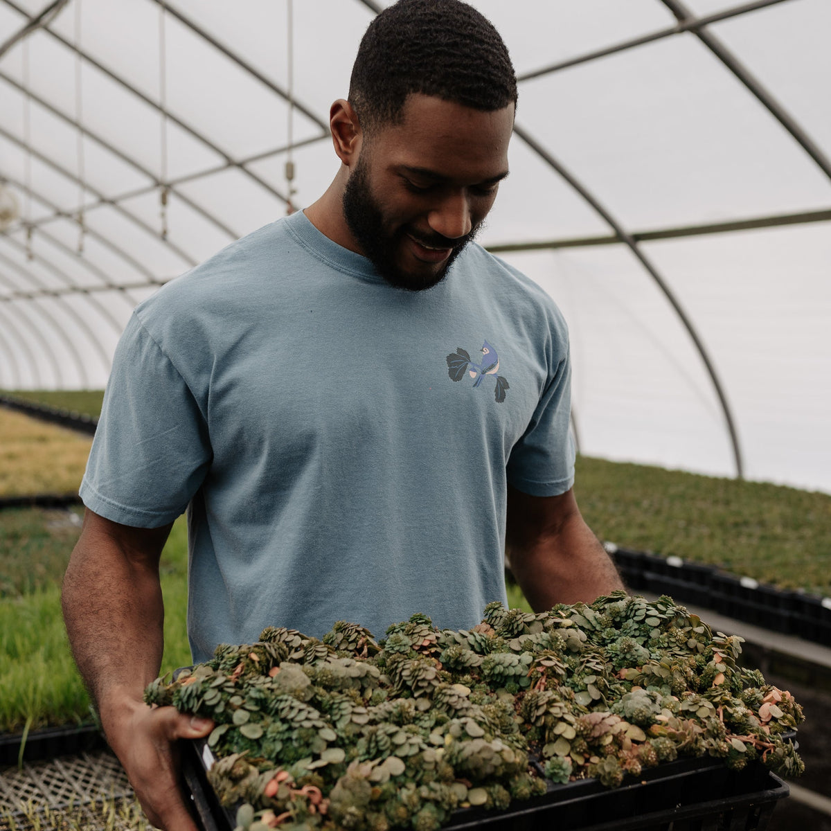 New Arrivals | Bird Collective