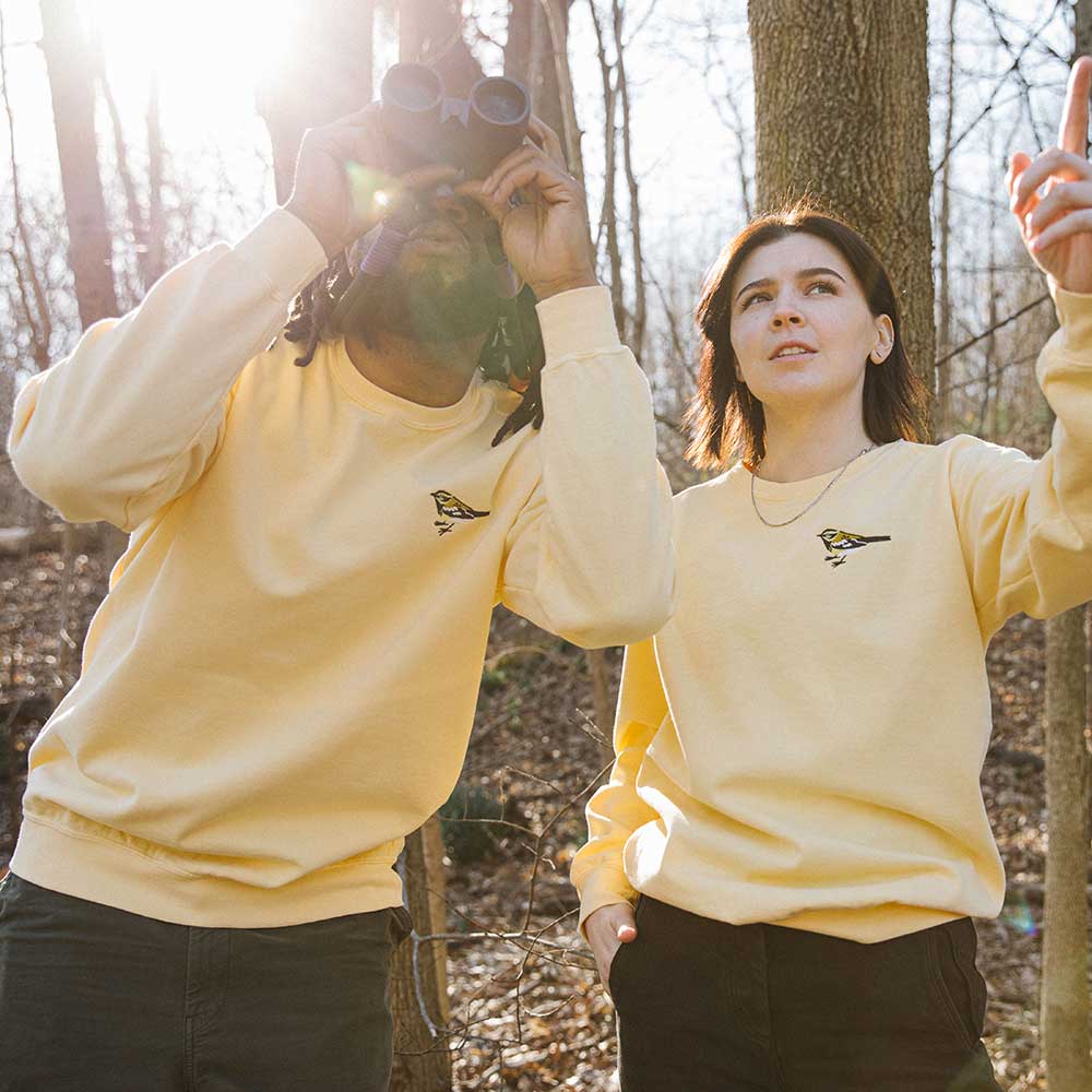 Warbler Collection – Bird Collective