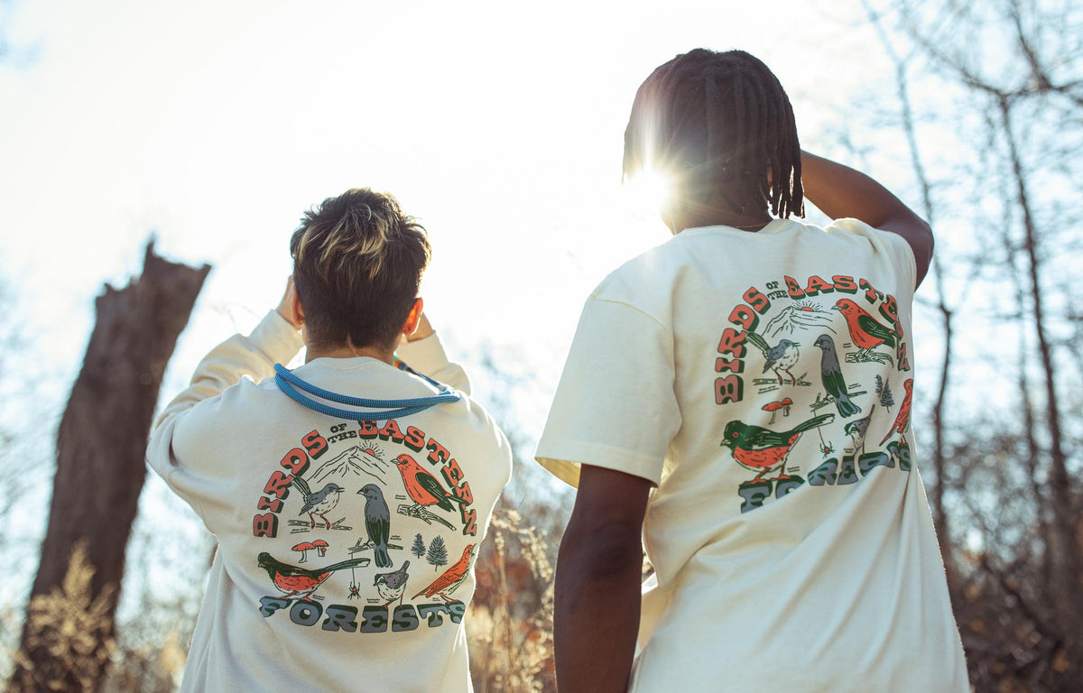 News – Page 5 – Bird Collective