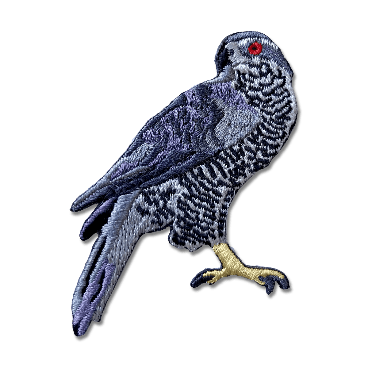 American Goshawk Patch – Bird Collective