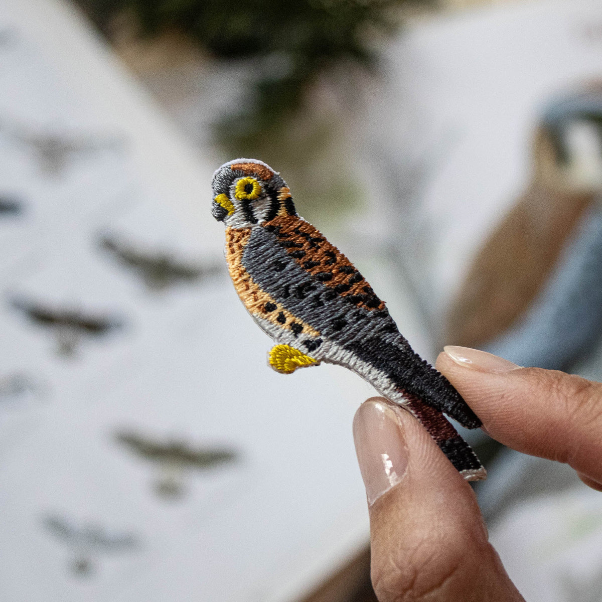 American Kestrel Bird Patch – Bird Collective