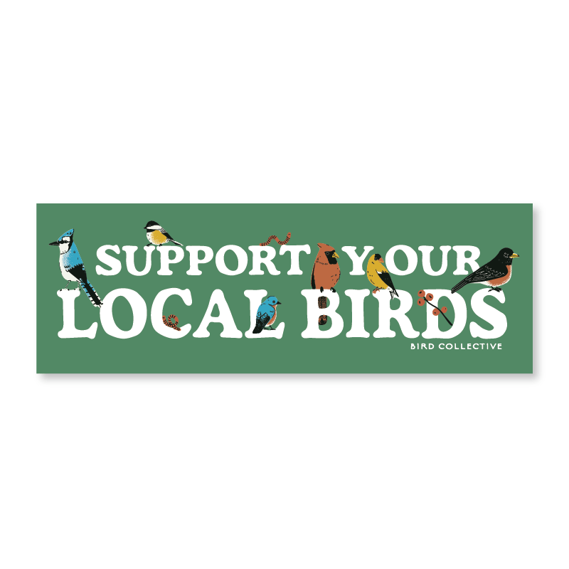 Backyard Birds Bumper Sticker – Bird Collective