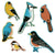 Bird Stickers | Bird Collective
