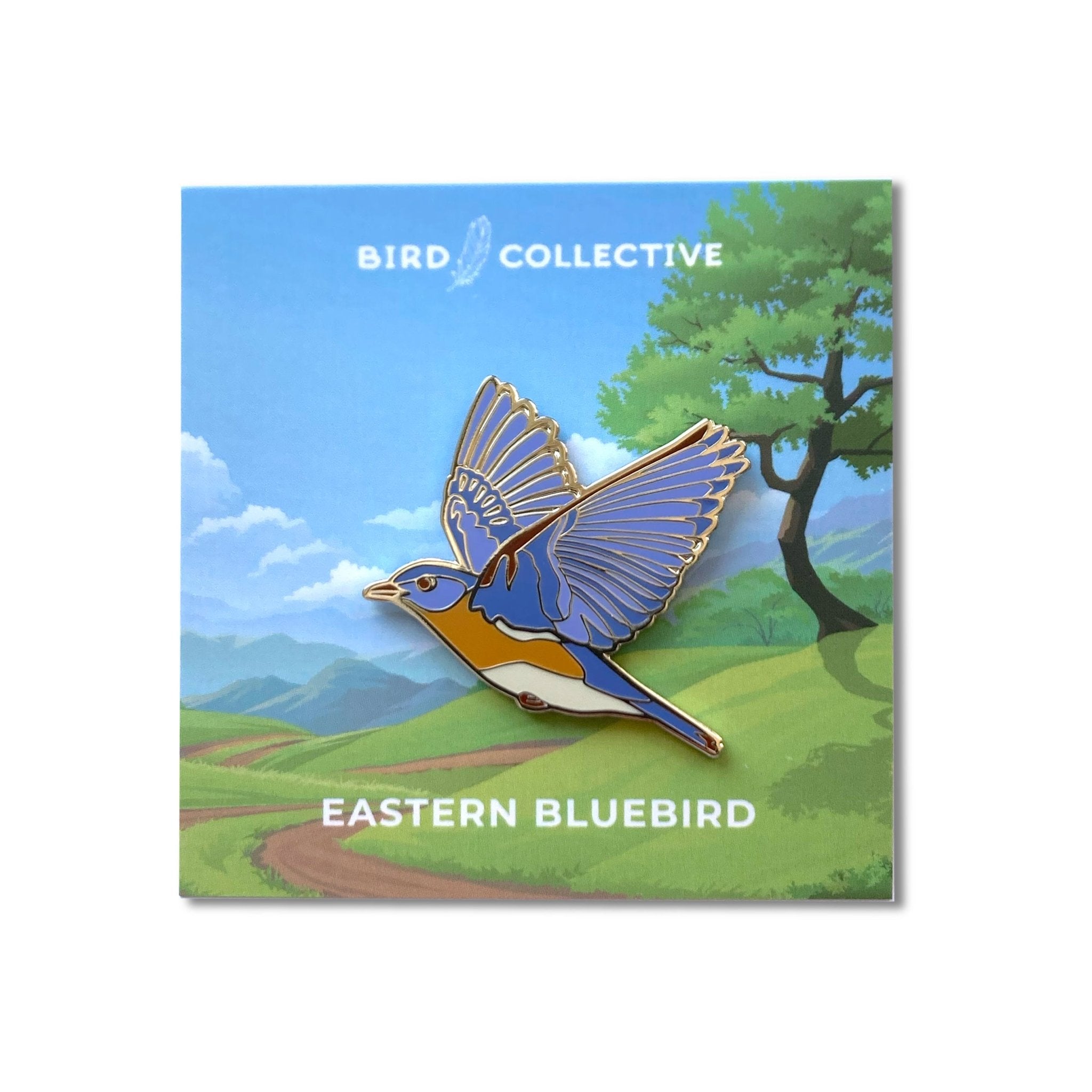 Eastern Bluebird Enamel Pin – Bird Collective