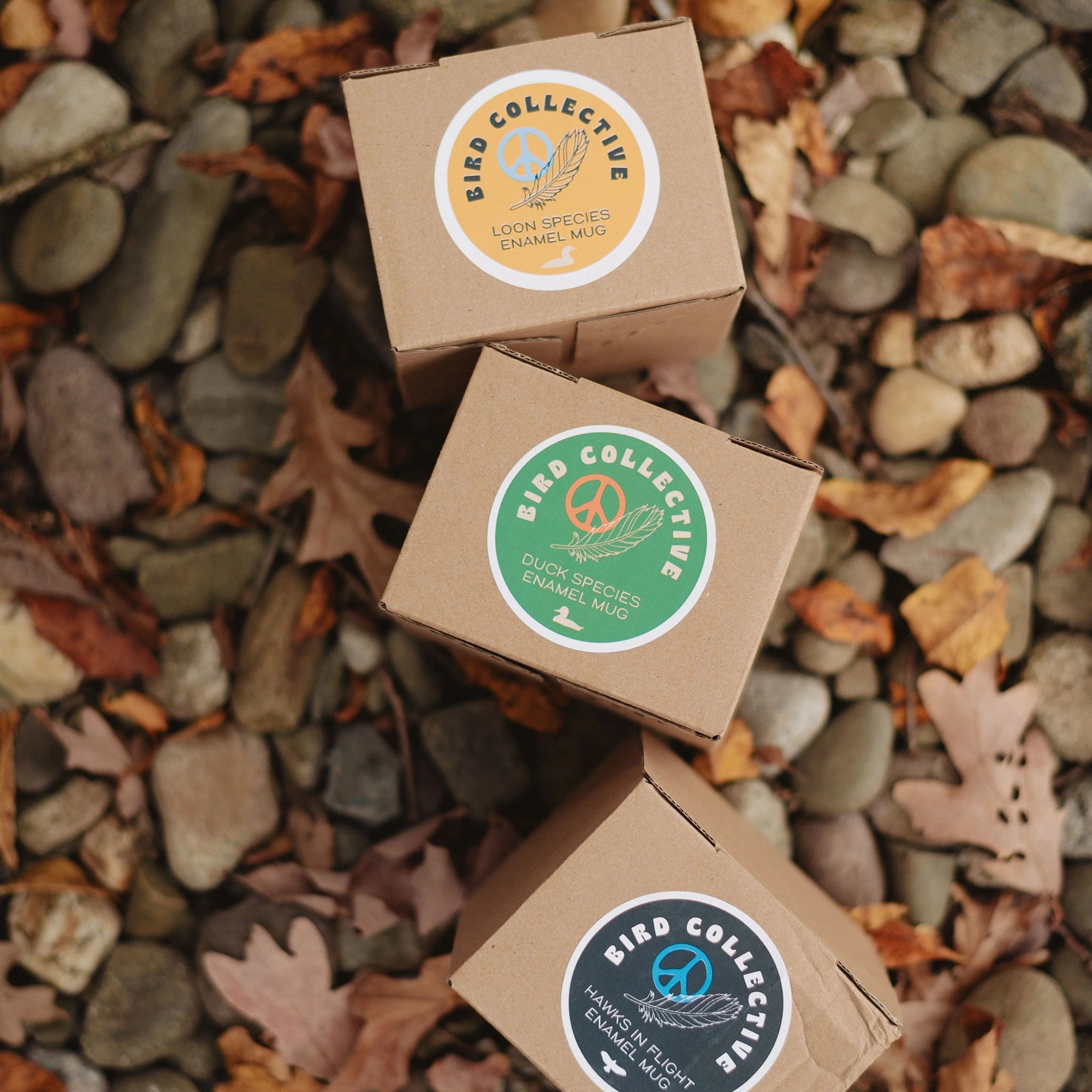 Duck Trio T-Shirt – Bird Collective