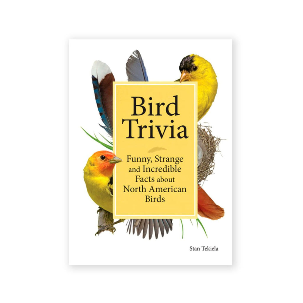 Test Your Knowledge with Bird Trivia - Bird Collective