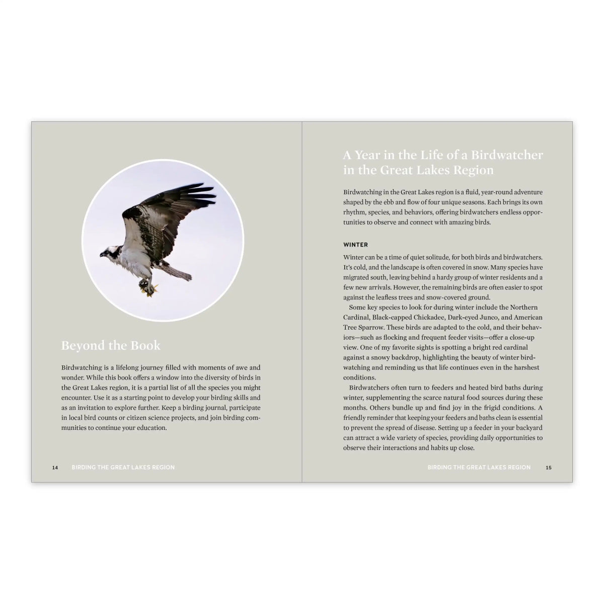 Birds of the Great Lakes | Bird Collective