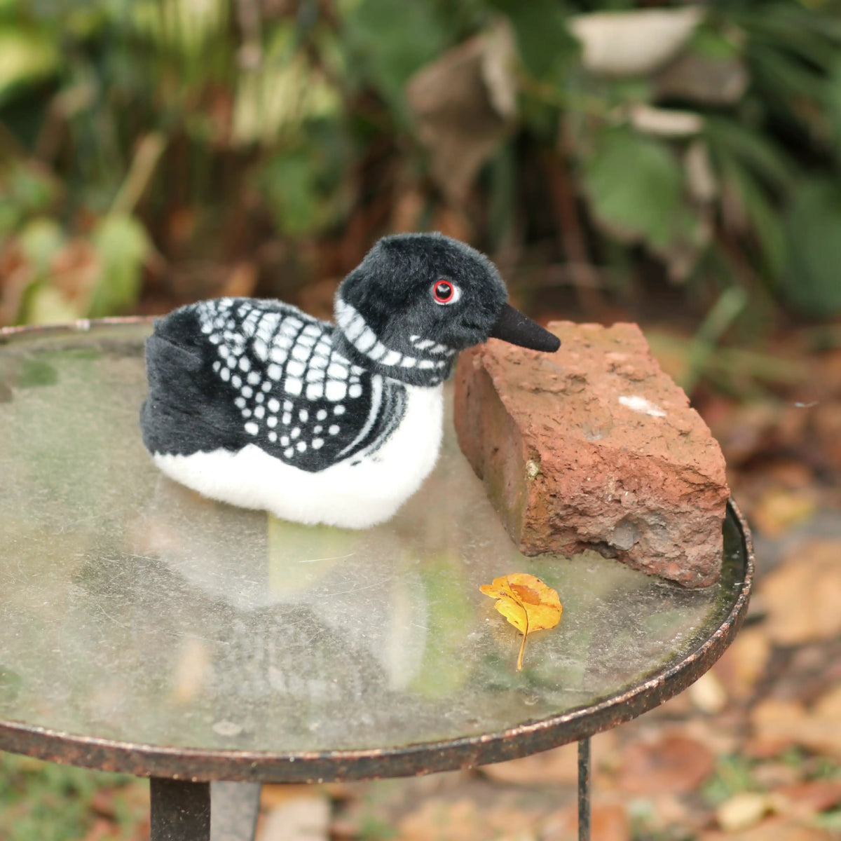 Common Loon Stuffed Animal – Bird Collective