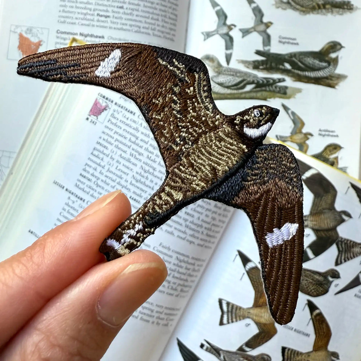 Common Nighthawk Patch | Bird Collective