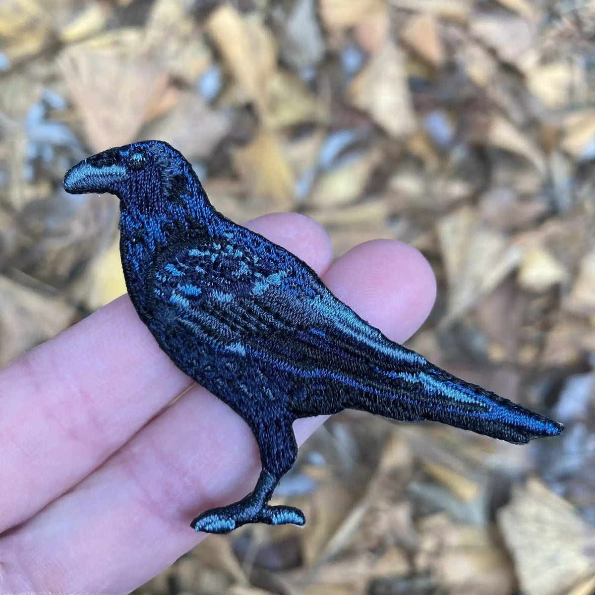 Common Raven Patch – Bird Collective
