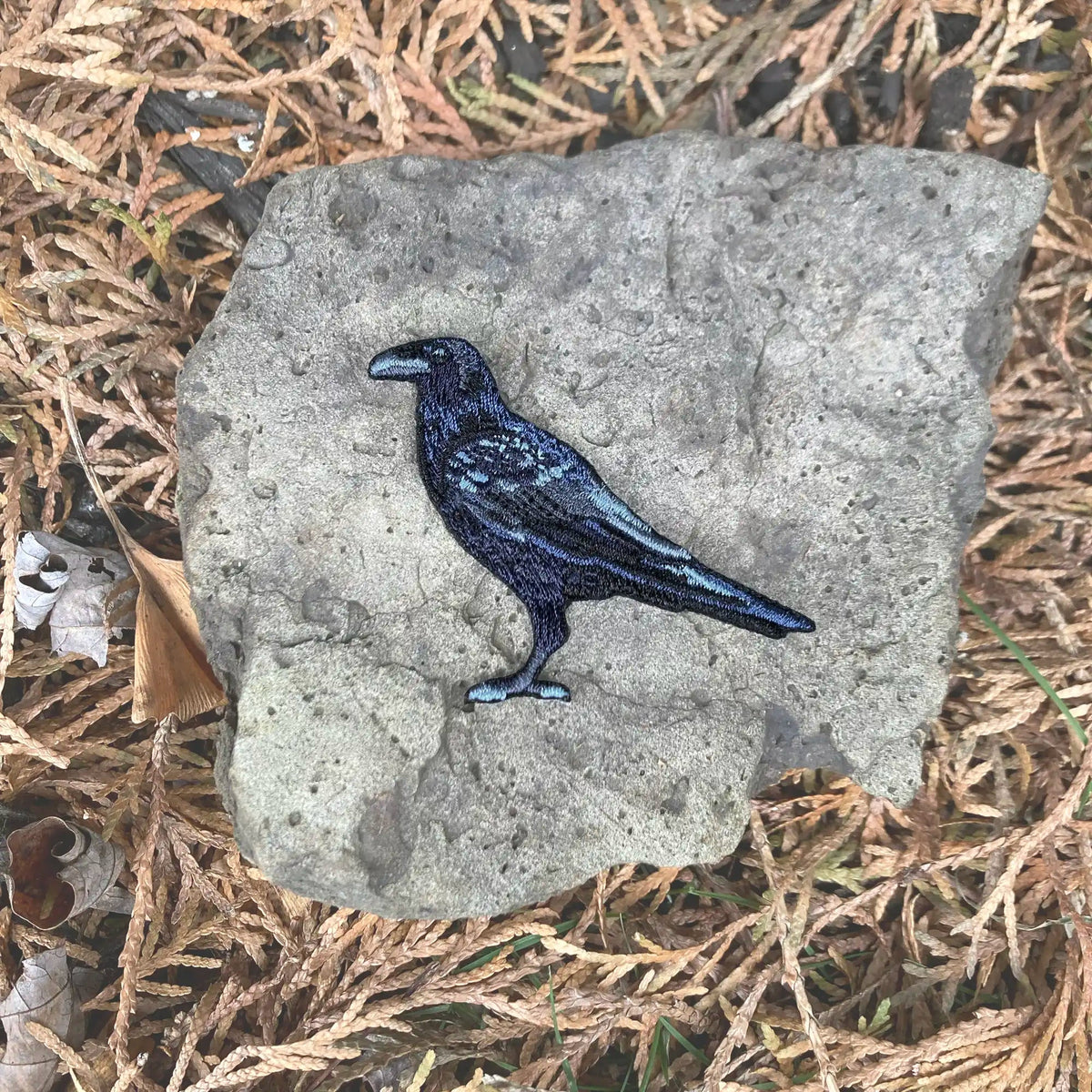 Common Raven Patch – Bird Collective