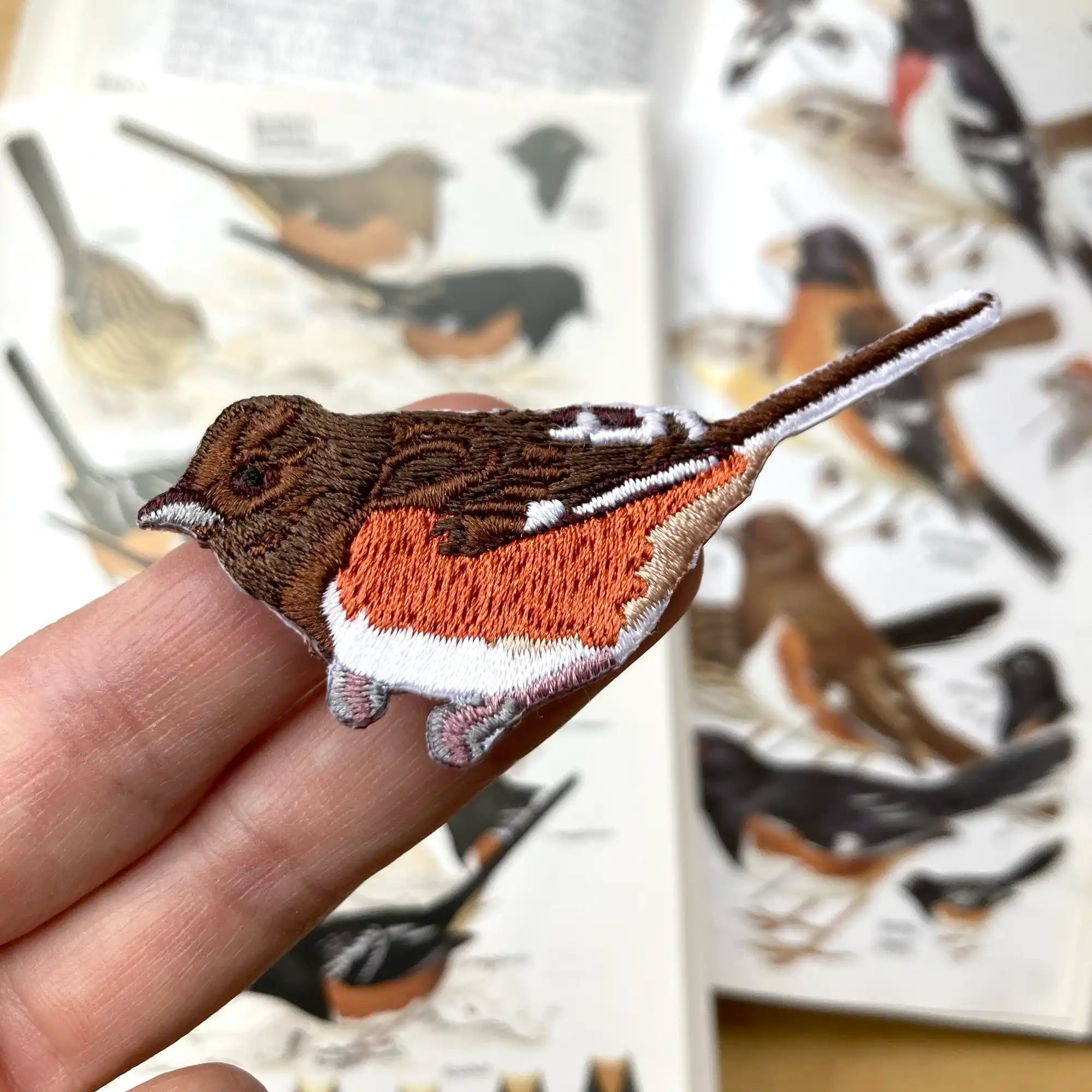 Bird Patch Club Monthly Subscription | Bird Collective