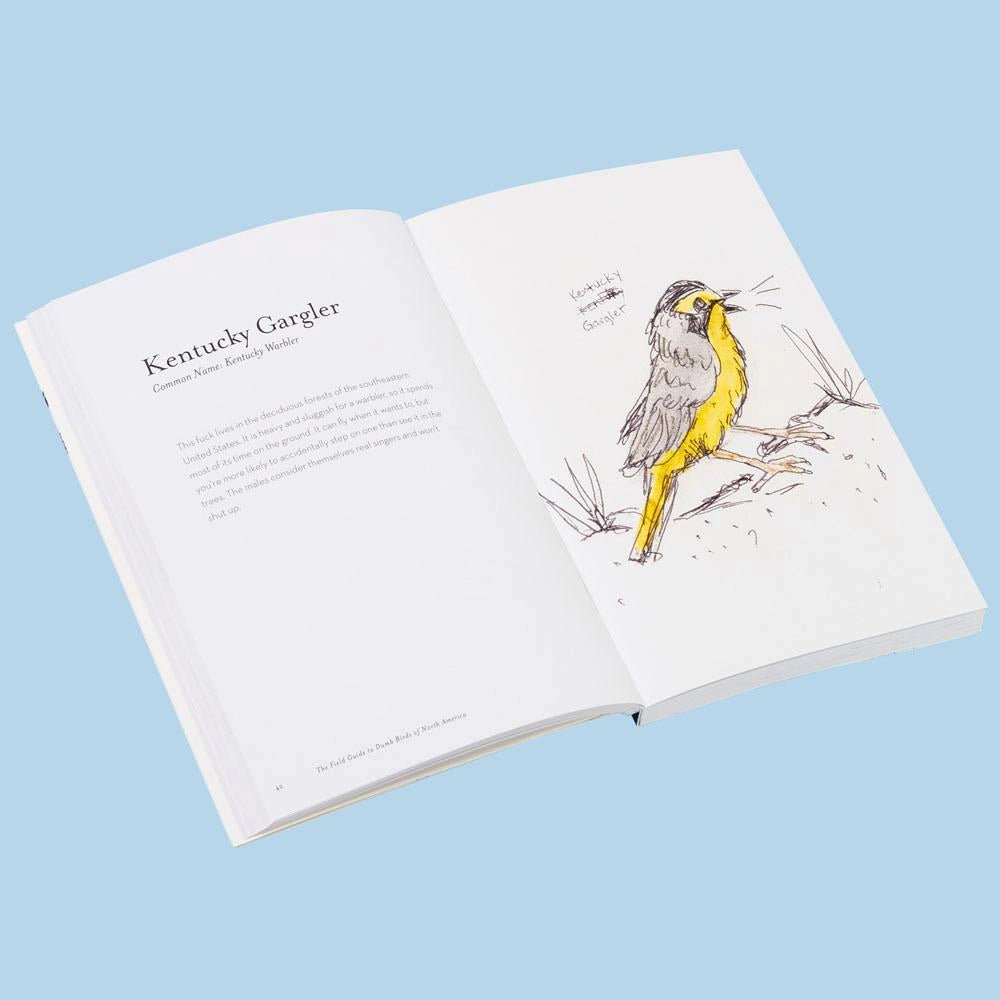 Field Guide to Dumb Birds of North America | Bird Collective