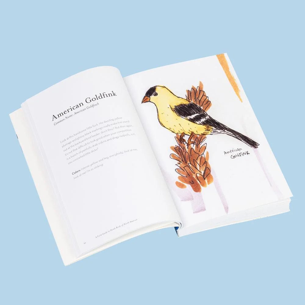 Field Guide to Dumb Birds of North America | Bird Collective