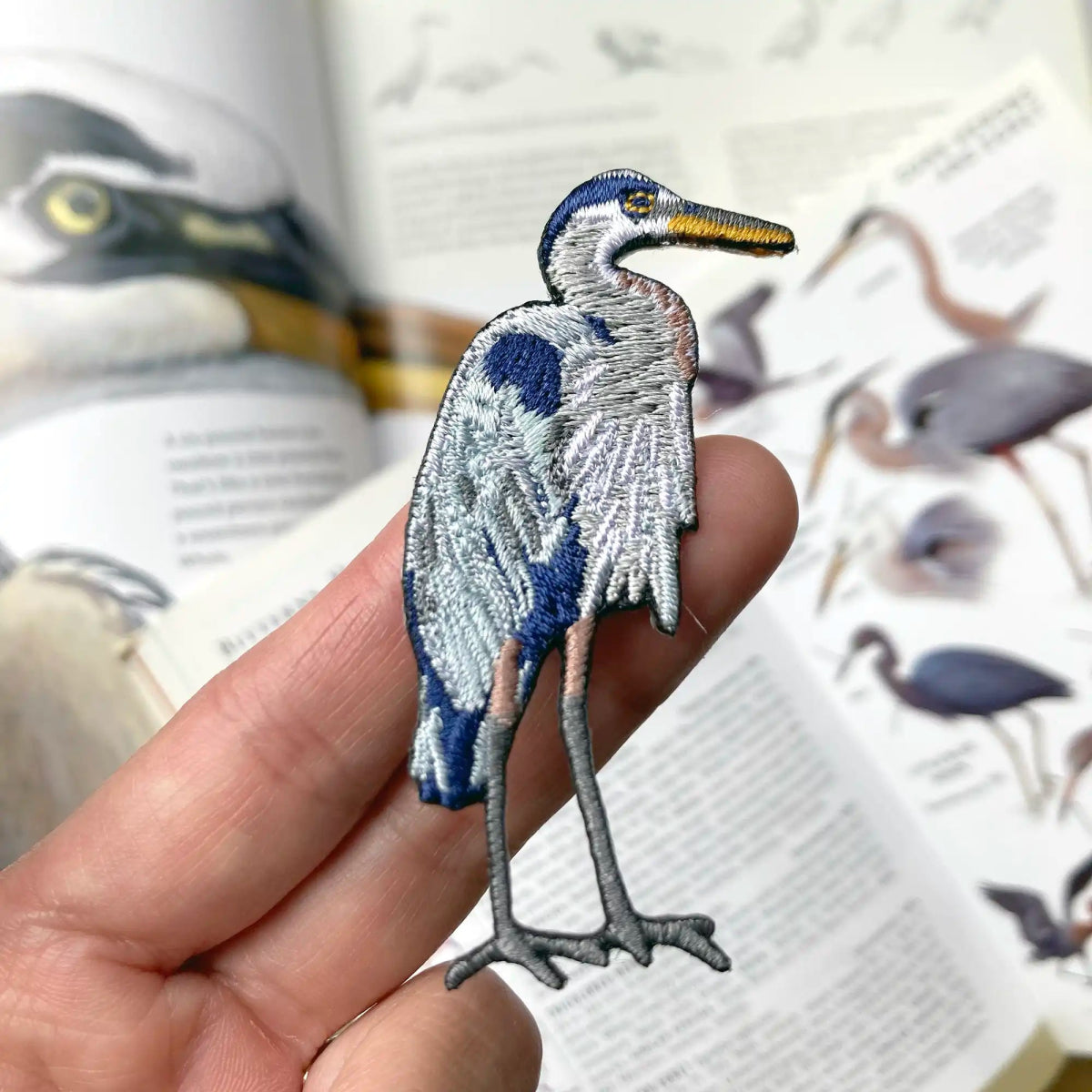 Bird Patch Club Monthly Subscription | Bird Collective