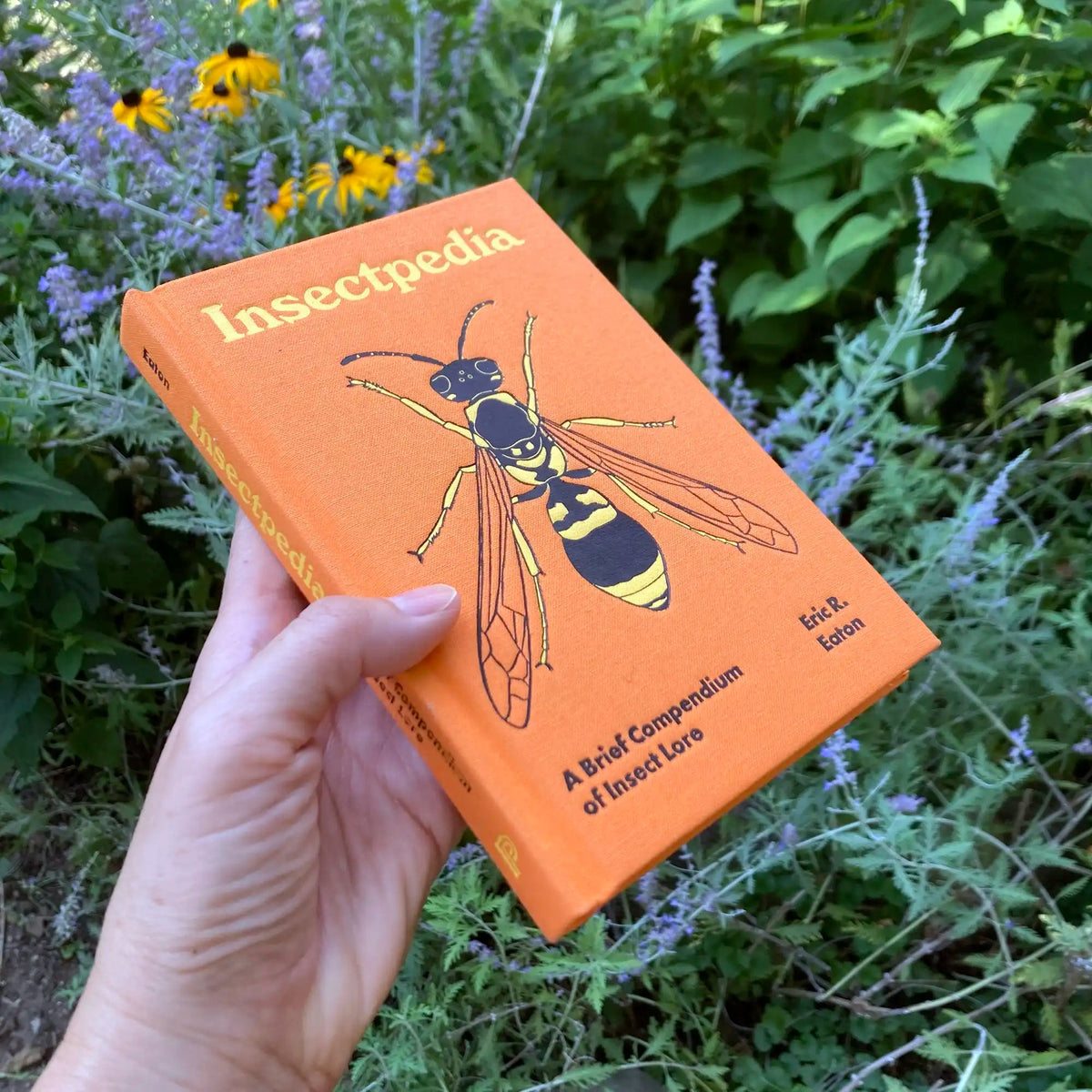 Insectpedia Book | Fascinating Facts About Insects – Bird Collective