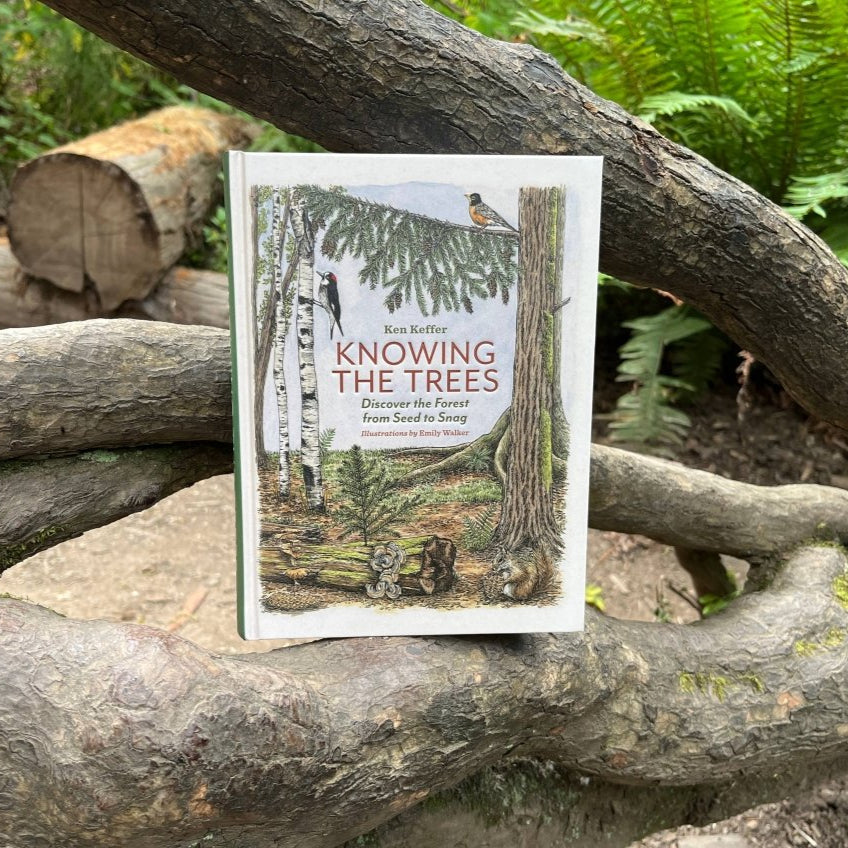 Knowing the Trees | Bird Collective