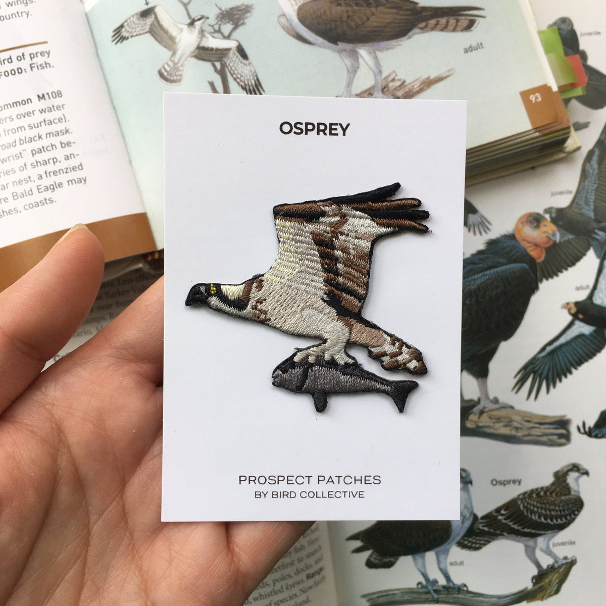 Embroidered Iron On Osprey Patch by Bird Collective
