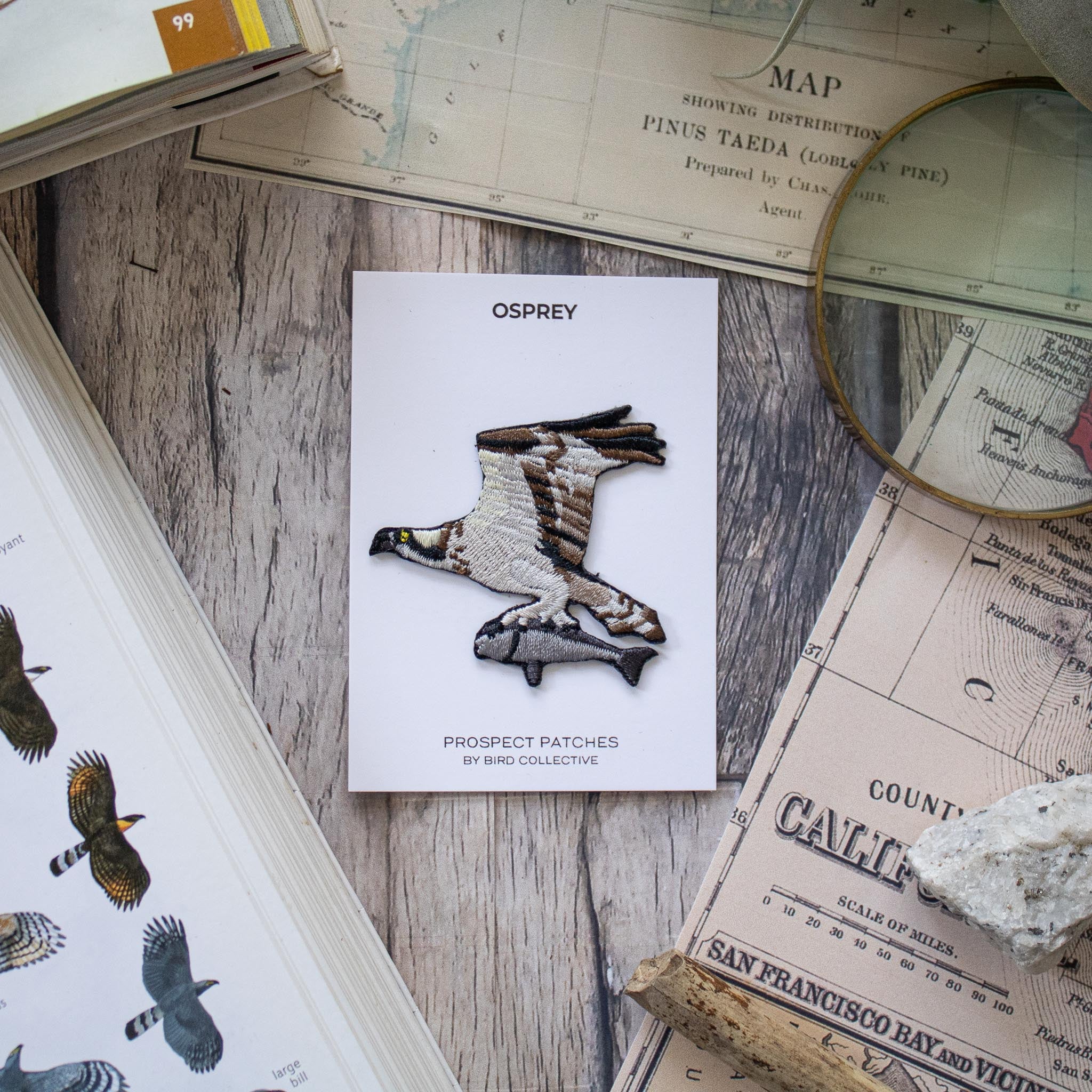 Embroidered Iron On Osprey Patch by Bird Collective