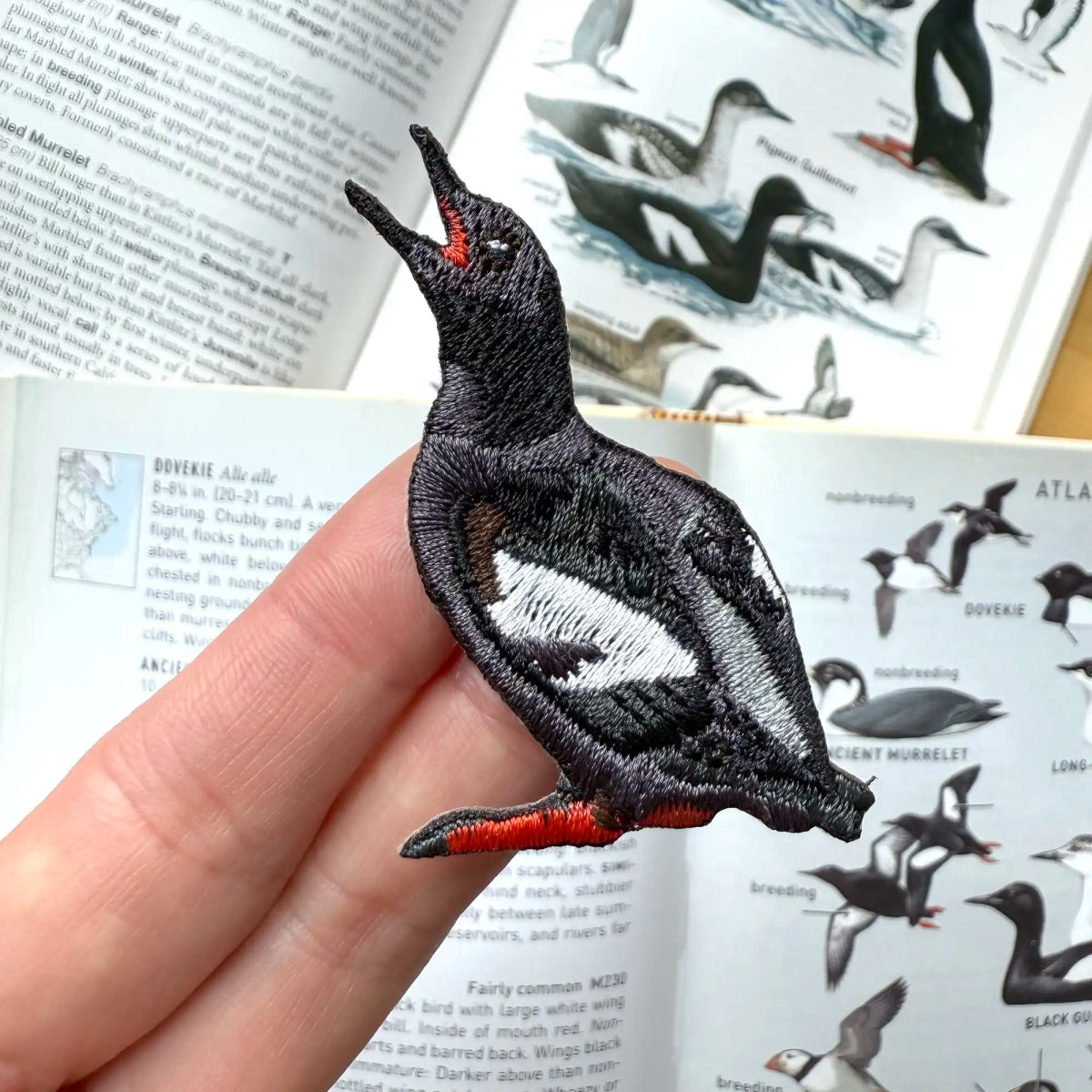 Pigeon Guillemot Patch | Bird Collective