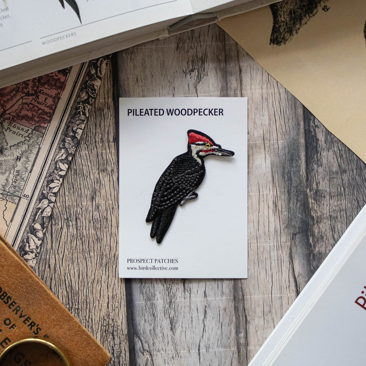 Pileated Woodpecker Bird Patch – Bird Collective