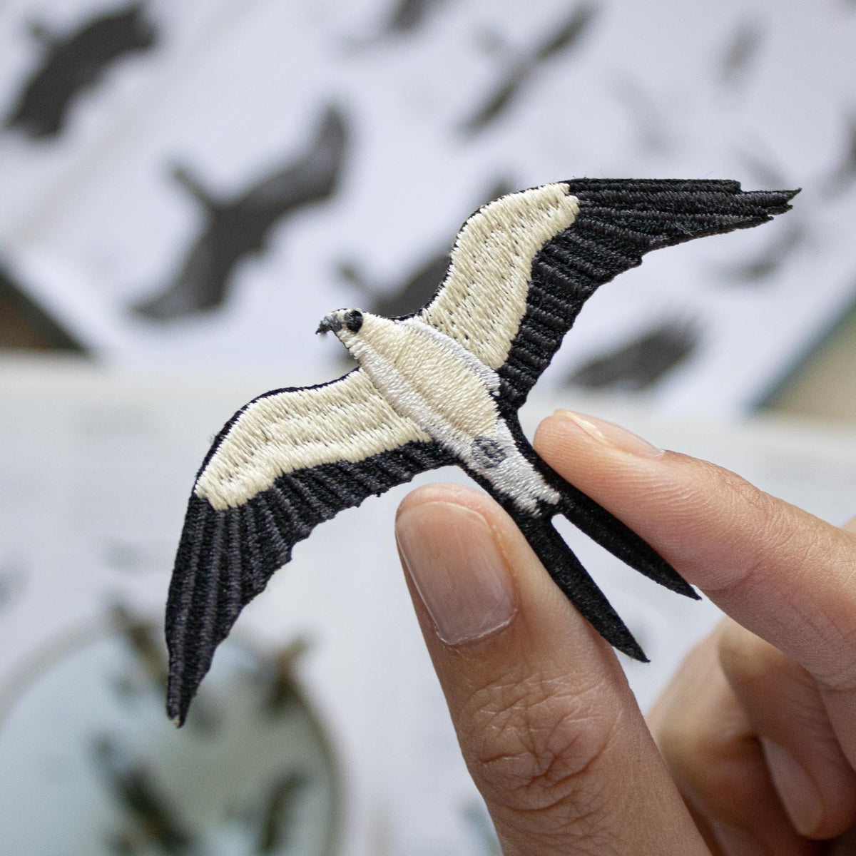 Swallow-tailed Kite Patch – Bird Collective