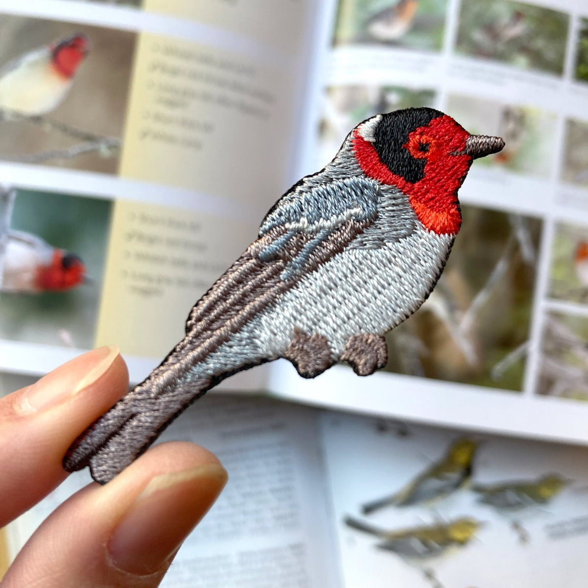Red-faced Warbler Patch – Bird Collective