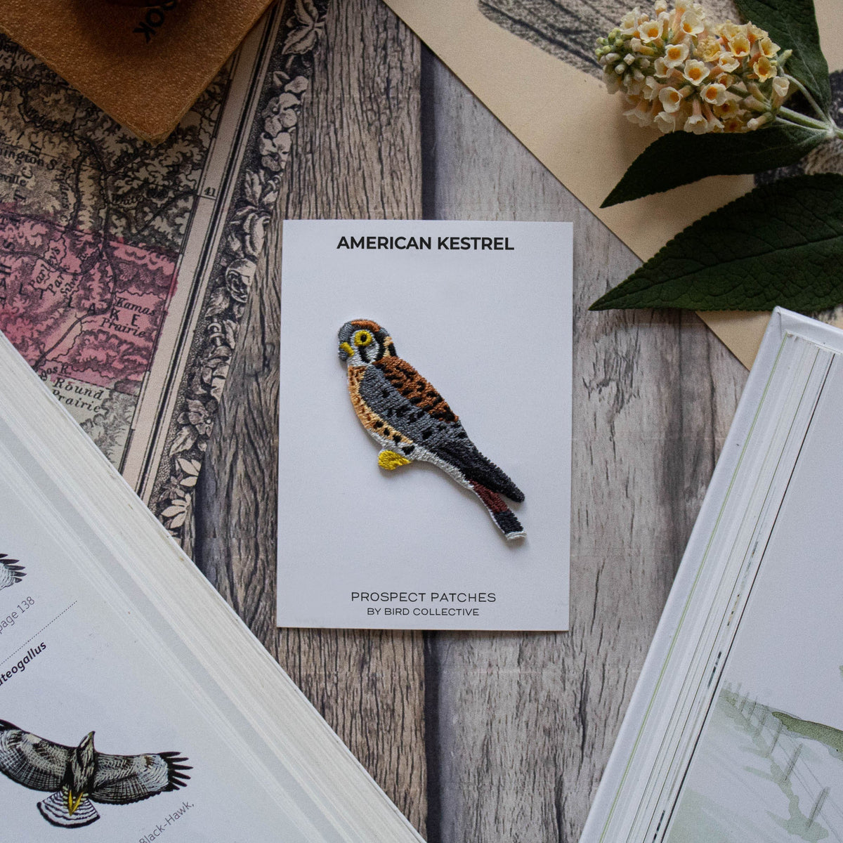 American Kestrel Bird Patch – Bird Collective