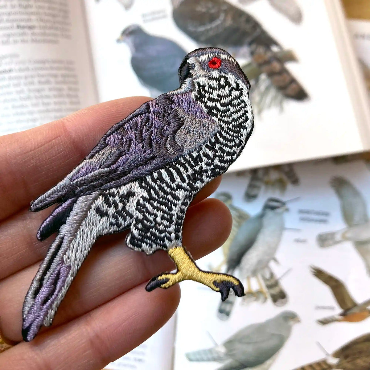 American Goshawk Patch – Bird Collective