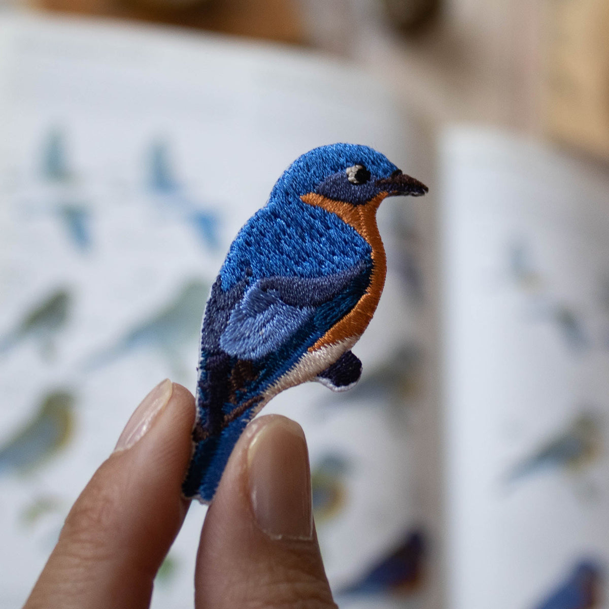 Eastern Bluebird Birdwatching Patch – Bird Collective