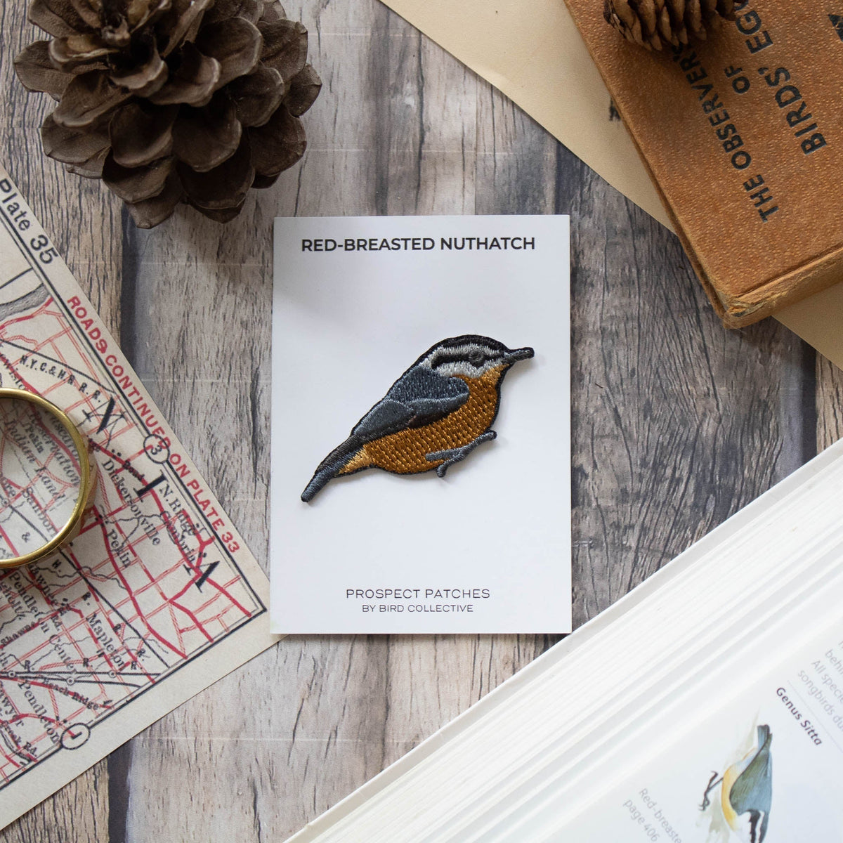 Red-breasted Nuthatch Bird Patch – Bird Collective