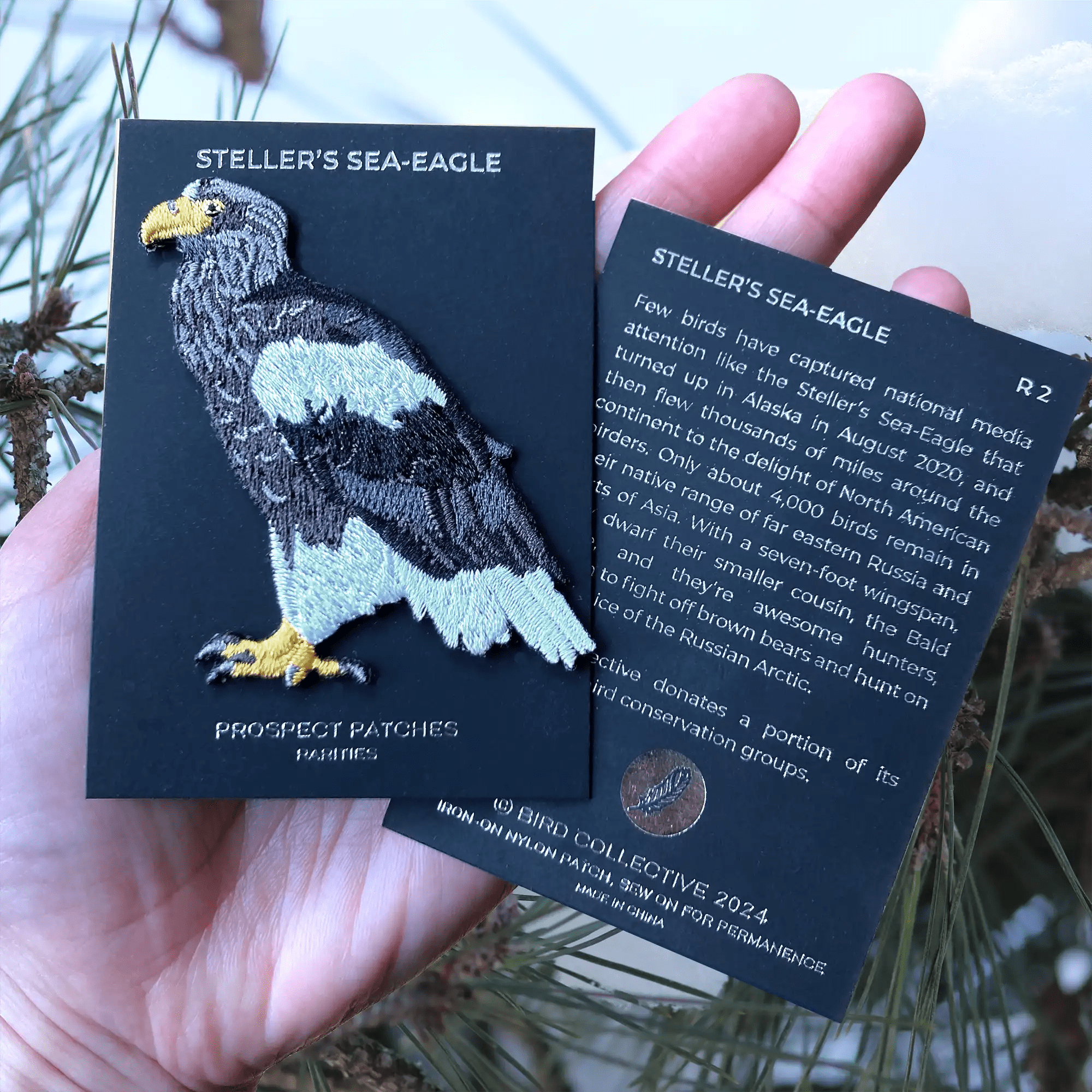 Bird Patch Club Monthly Subscription | Bird Collective