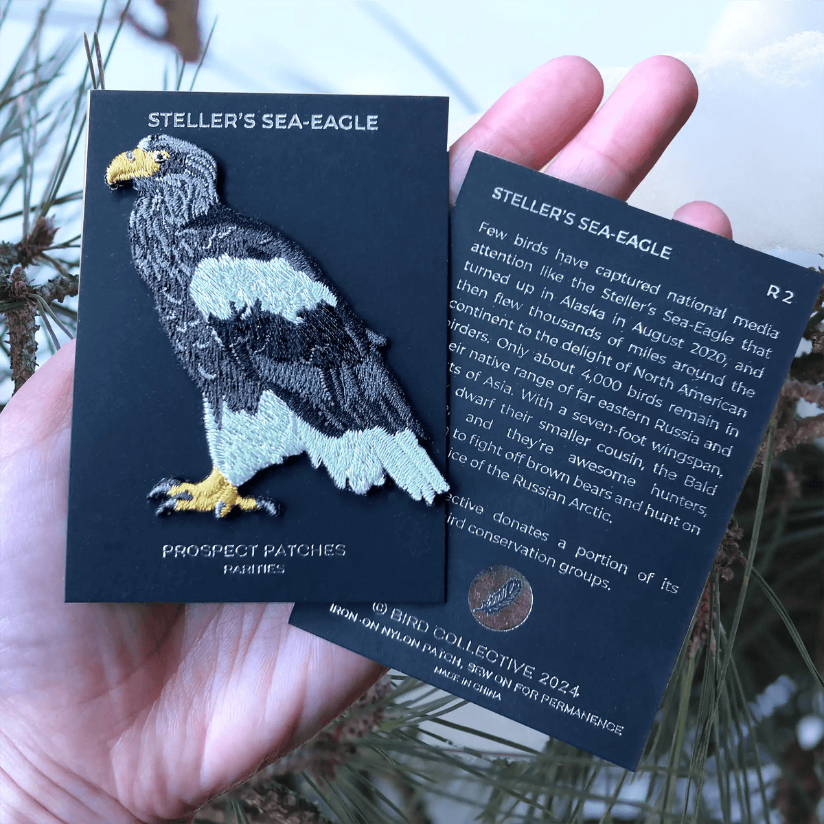 Steller's Sea Eagle Limited Edition Patch – Bird Collective