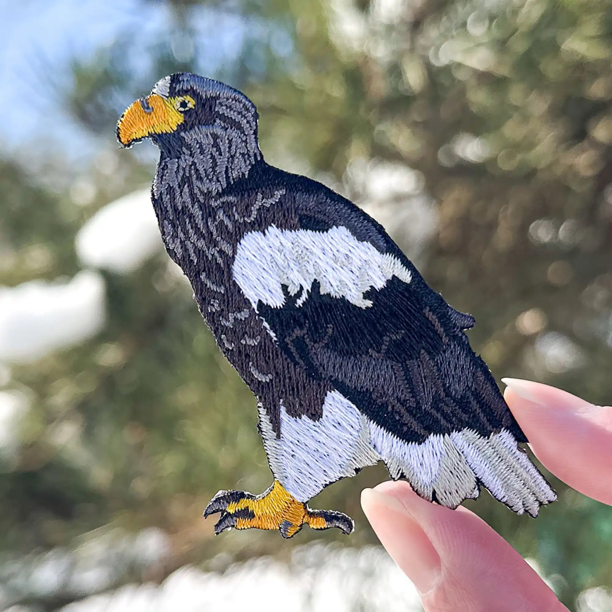 Bird Patch Club Monthly Subscription | Bird Collective