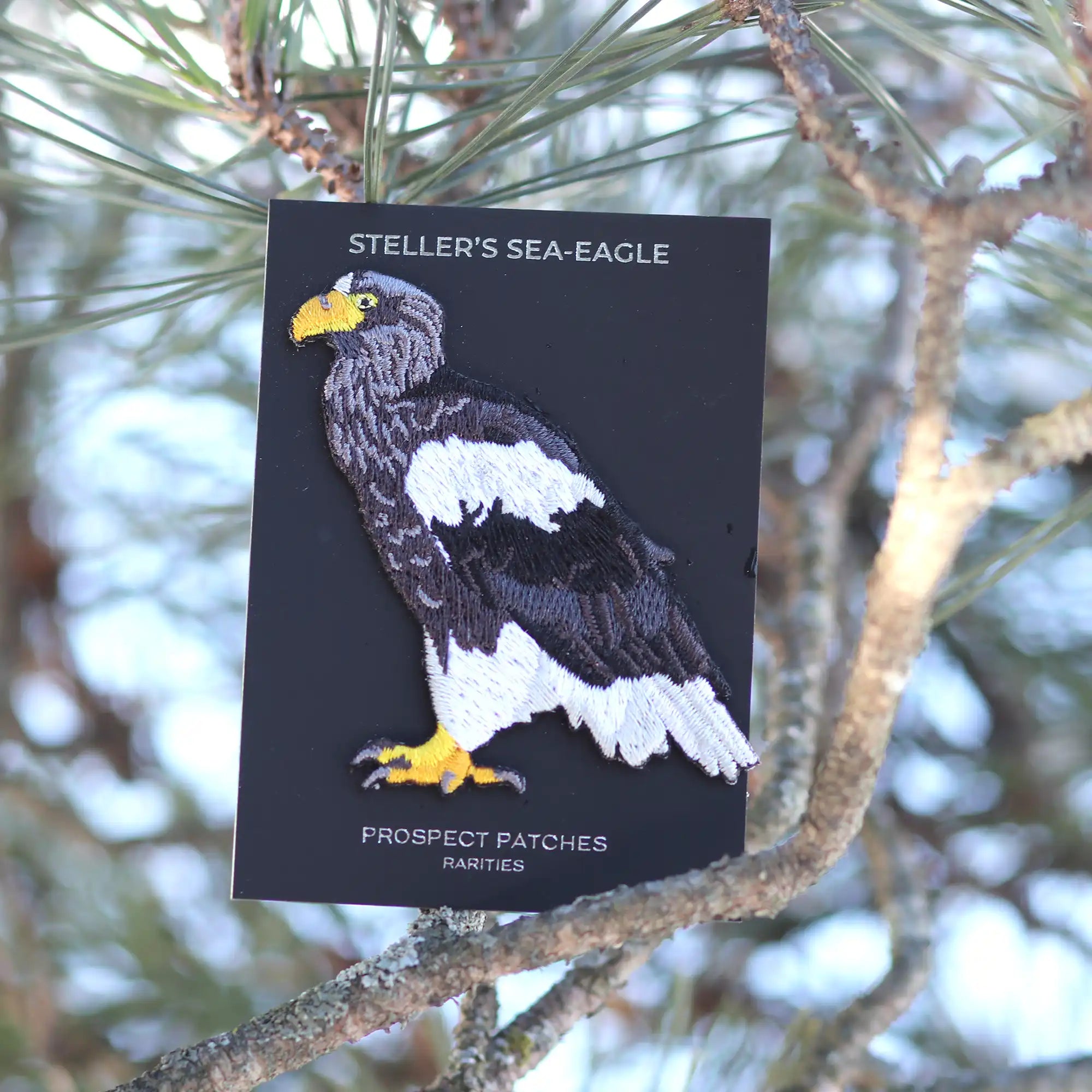 Bird Patch Club Monthly Subscription | Bird Collective