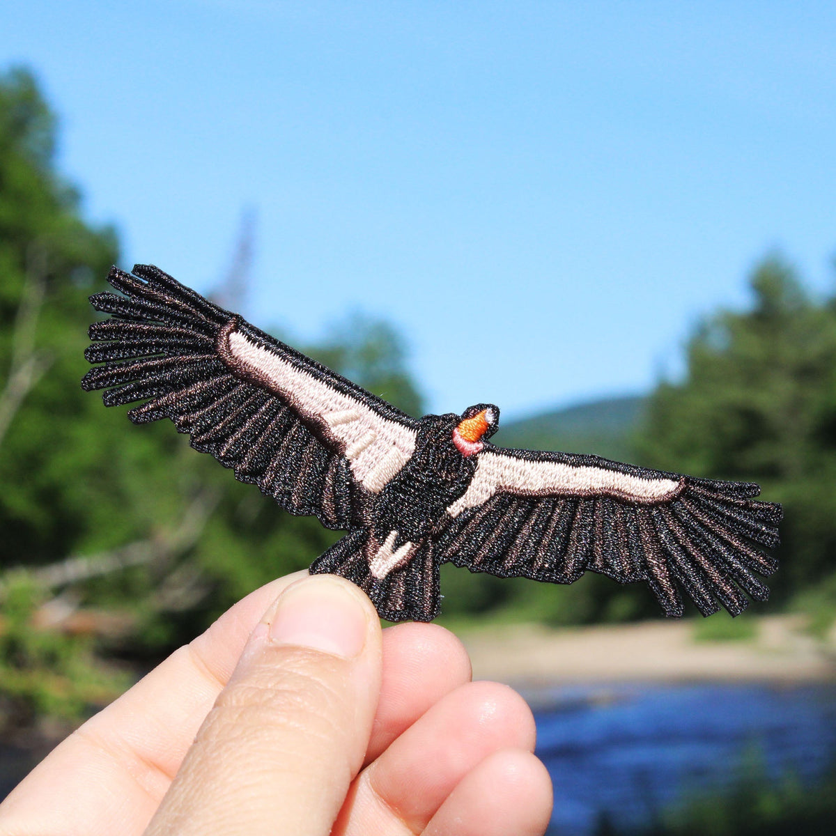 California Condor Bird Patch – Bird Collective
