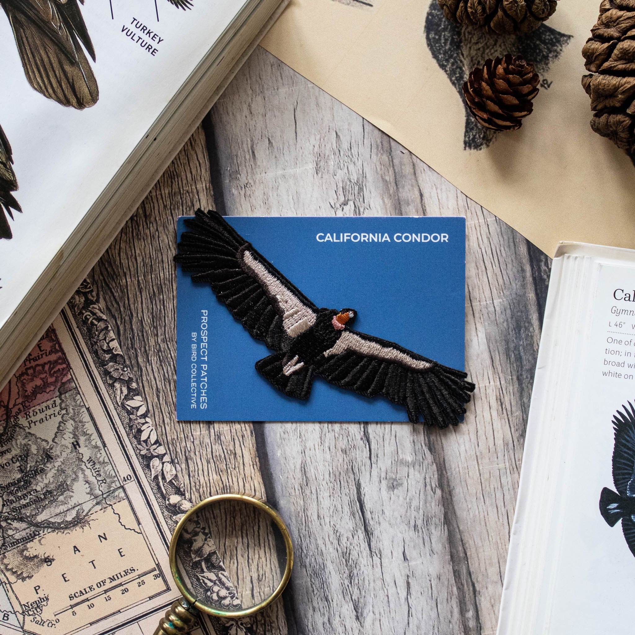 California Condor Bird Patch – Bird Collective