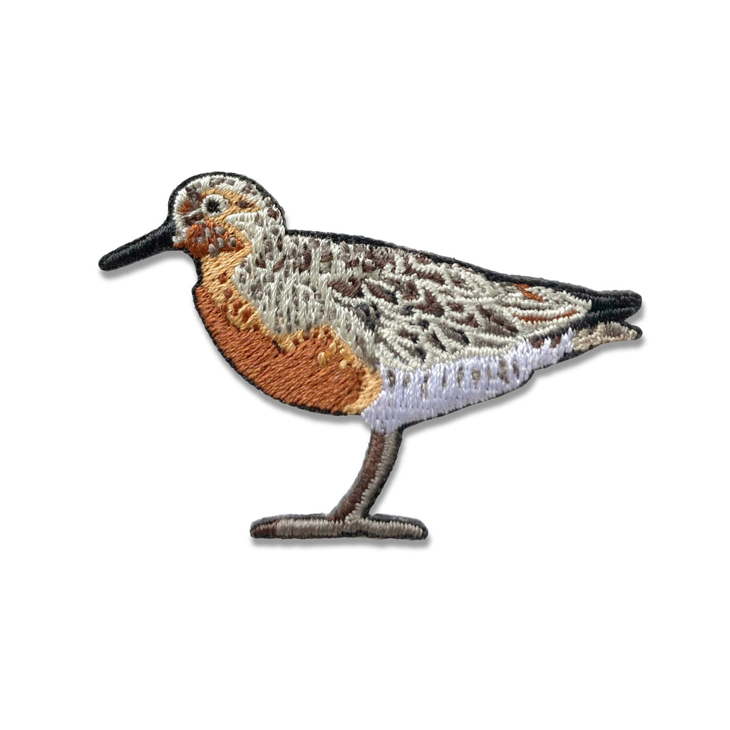 Red Knot Patch – Bird Collective