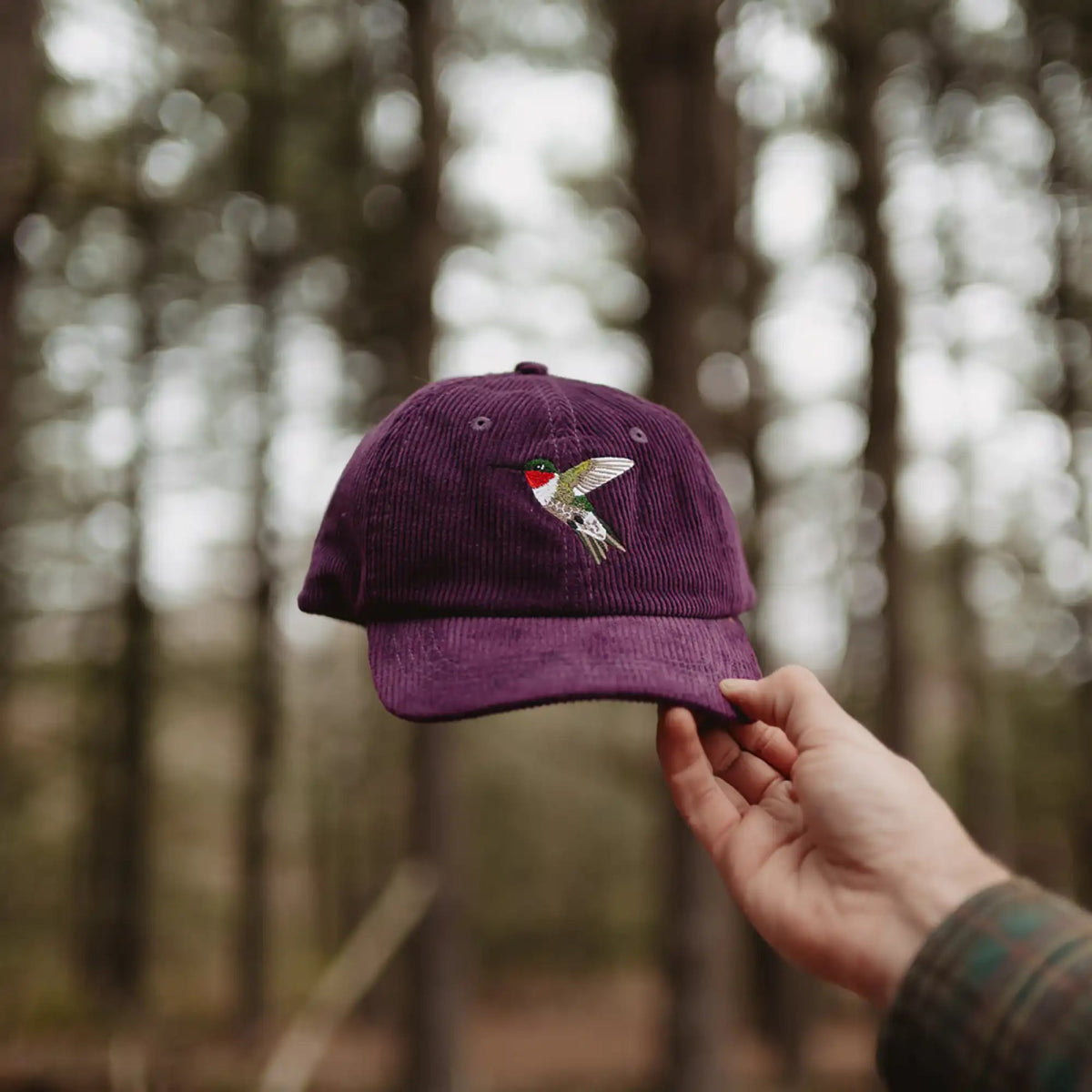 Ruby-throated Hummingbird Corduroy Hat | Bird Collective
