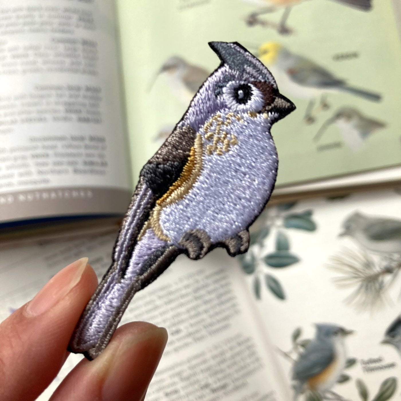 Tufted Titmouse Patch – Bird Collective