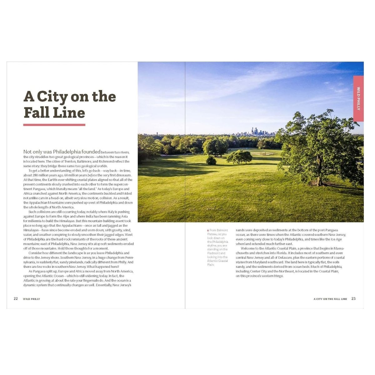 Wild Philly | Illustrated Guide to Nature in Philly – Bird Collective