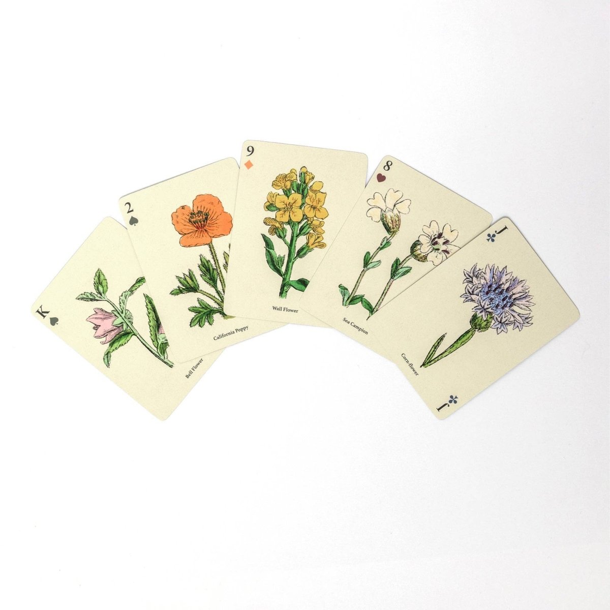 Wildflowers Single Playing Card Deck – Bird Collective