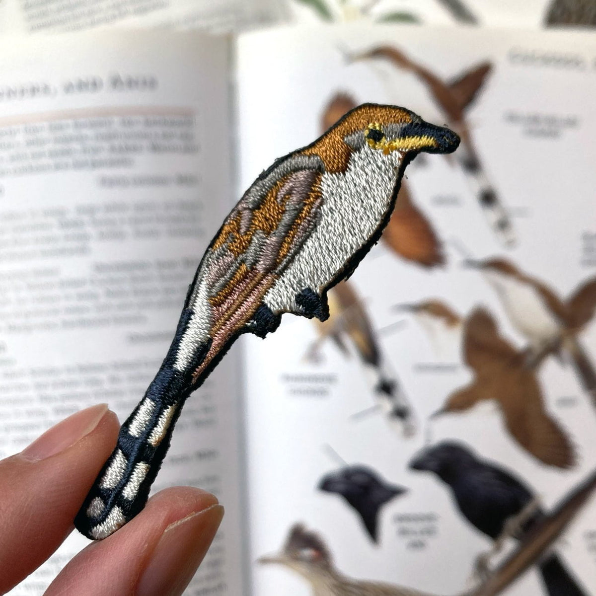 Yellow-billed Cuckoo Patch - Nature-inspired Patch – Bird Collective